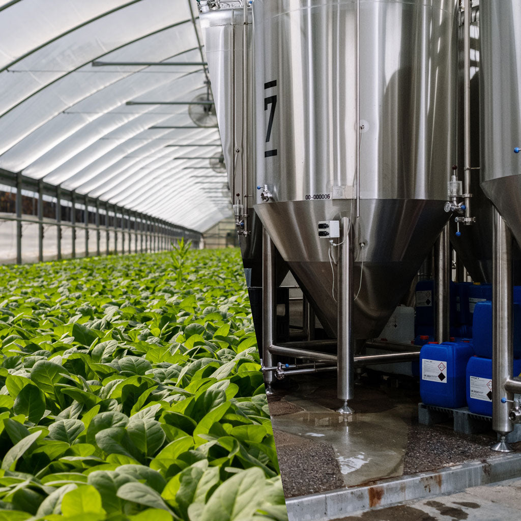 20lb CO2 - Food Grade | CO2 Delivery - Carbonics.ca